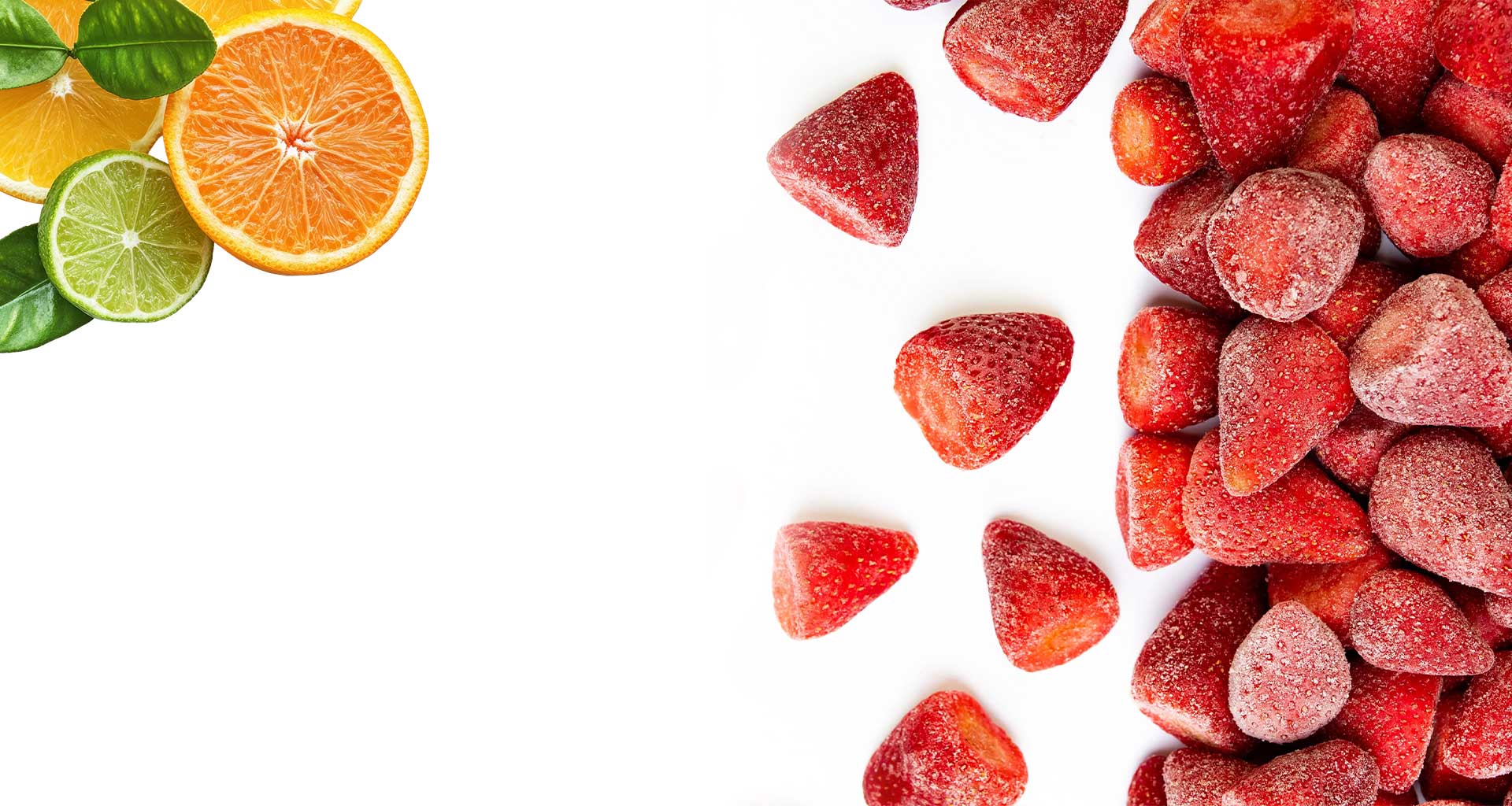 Fruity | Natural & Sustainable Fresh, Frozen, and Processed ...